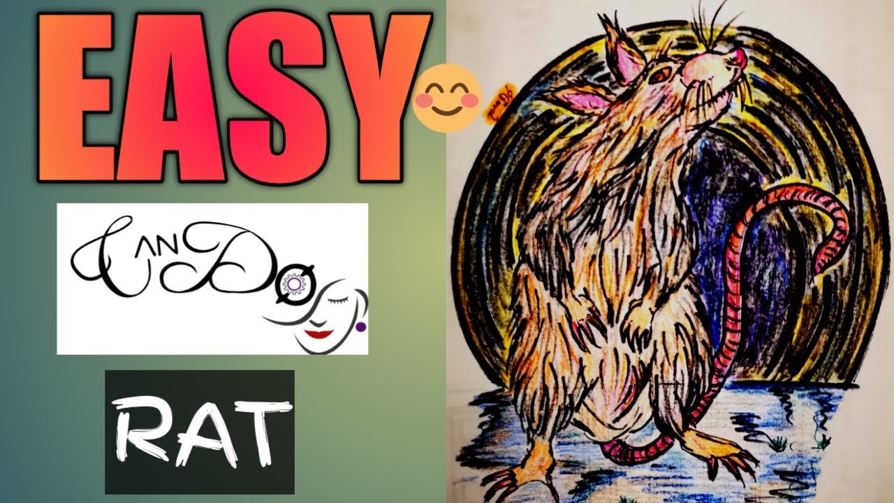 How To Draw A Rat Step By Step For Beginners | Halloween Drawings ...