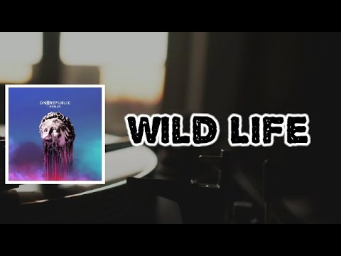 OneRepublic - Wild Life (Lyrics) - YouTube