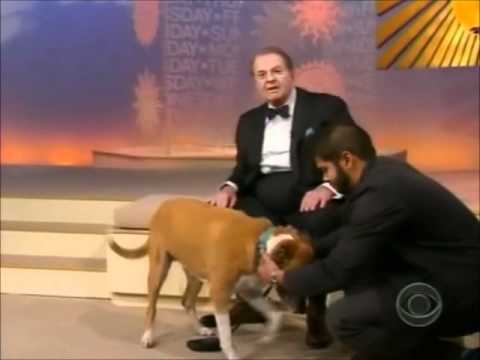Jack with Charles Osgood on CBS - YouTube