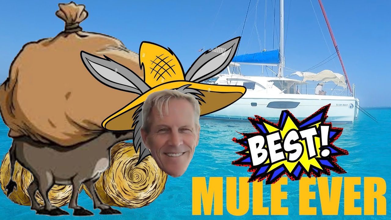 238: The BEST MULE EVER - HOW CRUISERS GET THINGS THEY NEED - YouTube