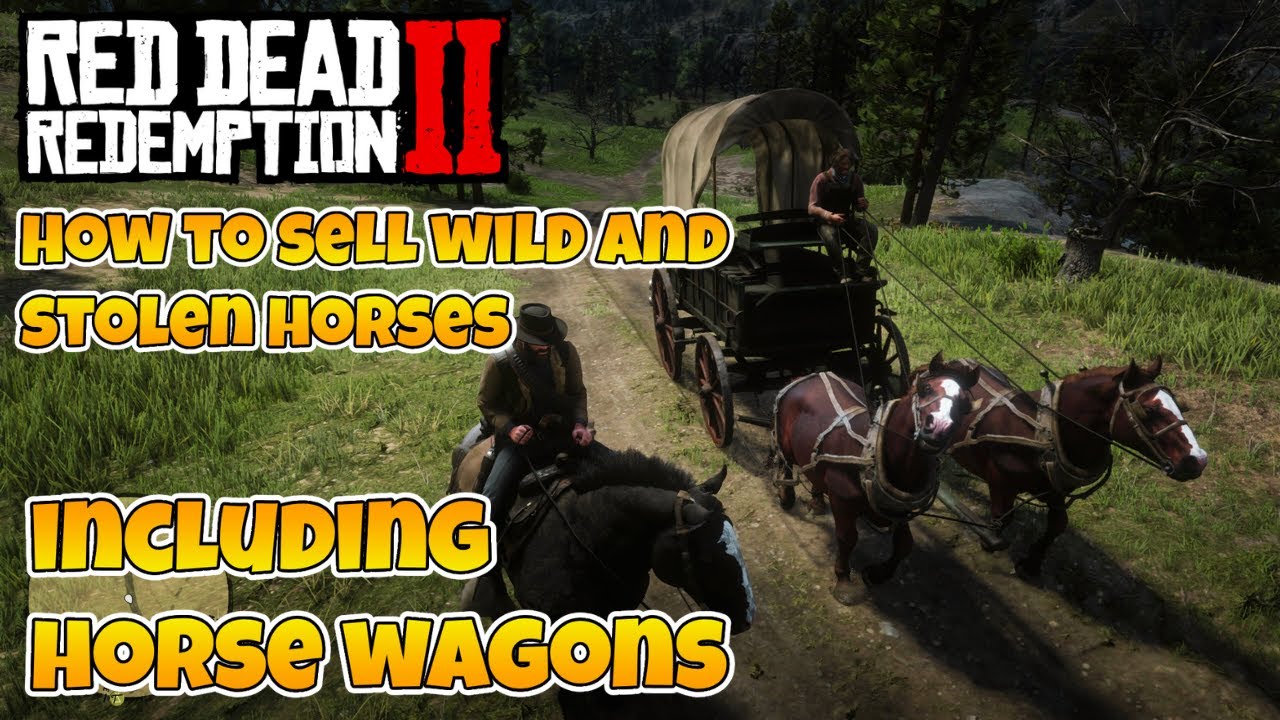 Red Dead Redemption 2 Where To Sell Horses | Wild / Stolen Horses And ...