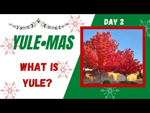 Yulemas Day 2 | 12 Days of Yule 🌲 ️ - YouTube