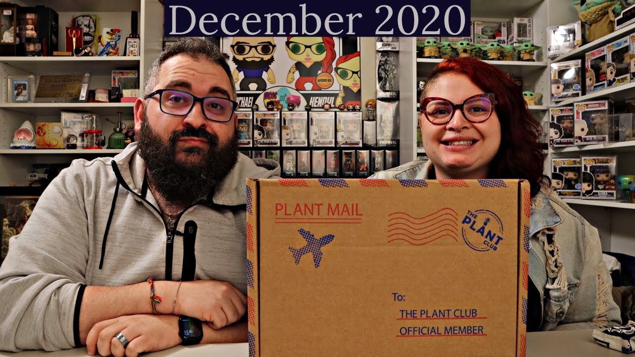 The Plant Club Houseplant Subscription Mystery Box - December 2020 ...