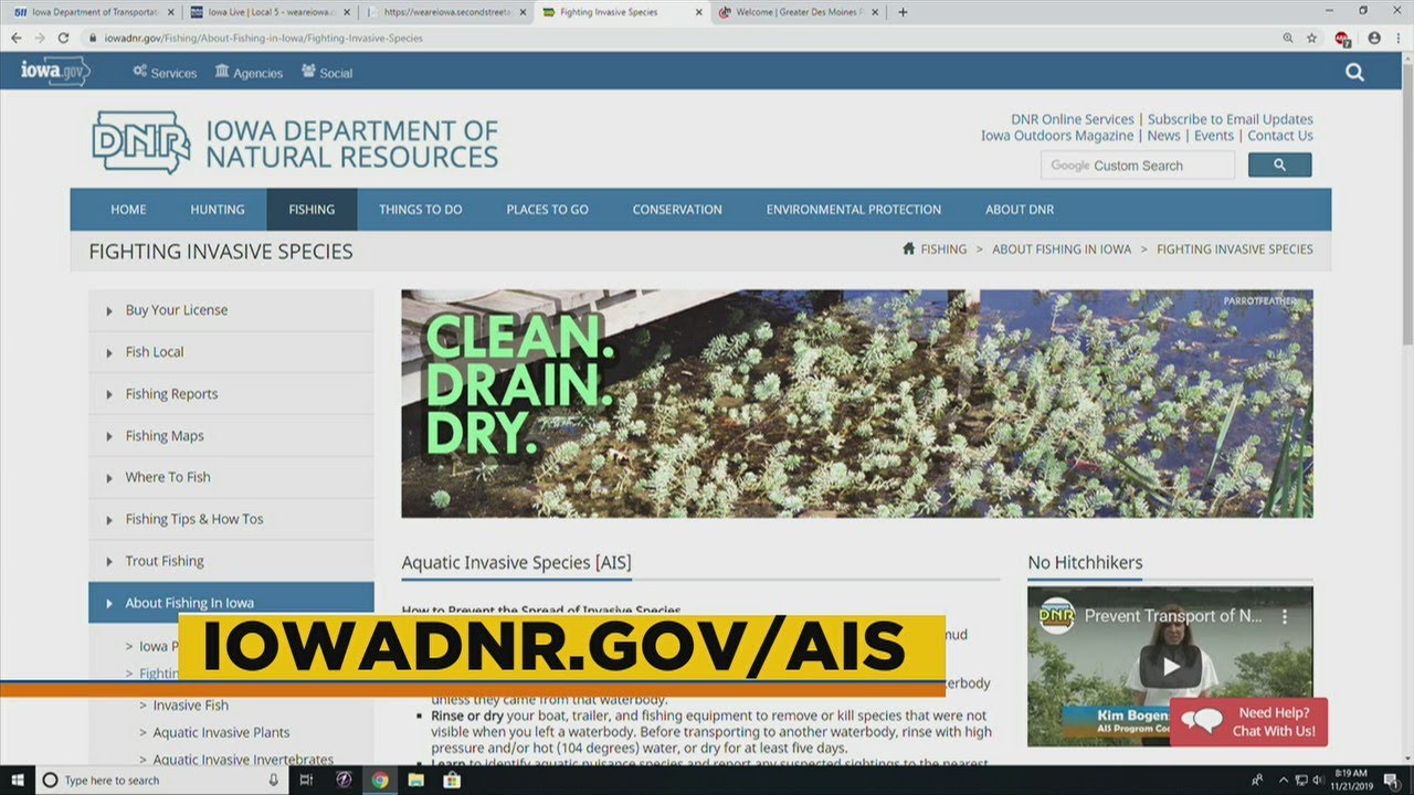 Iowa DNR: Invasive species - YouTube