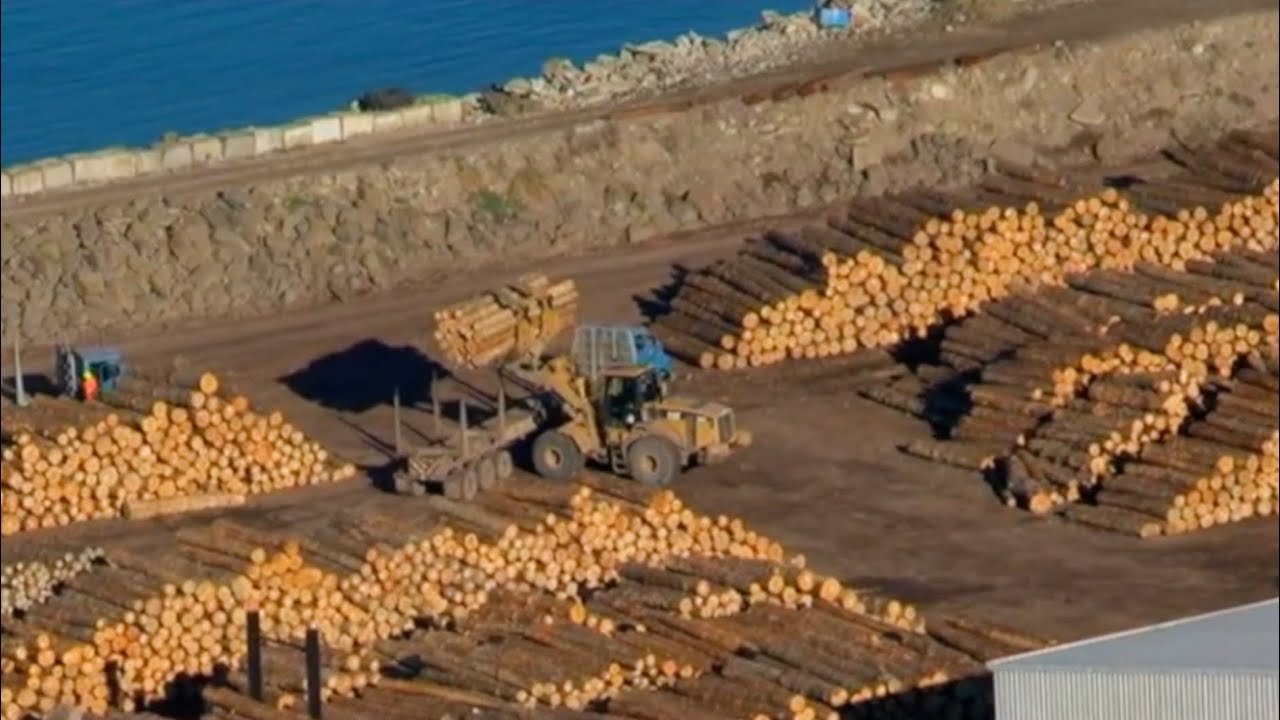 Loading logs onto ships. We shot this in 2015. - YouTube