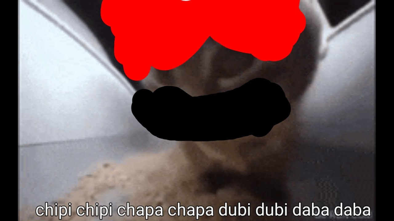 chipi chipi chapa chapa dubi dubi daba daba - YouTube