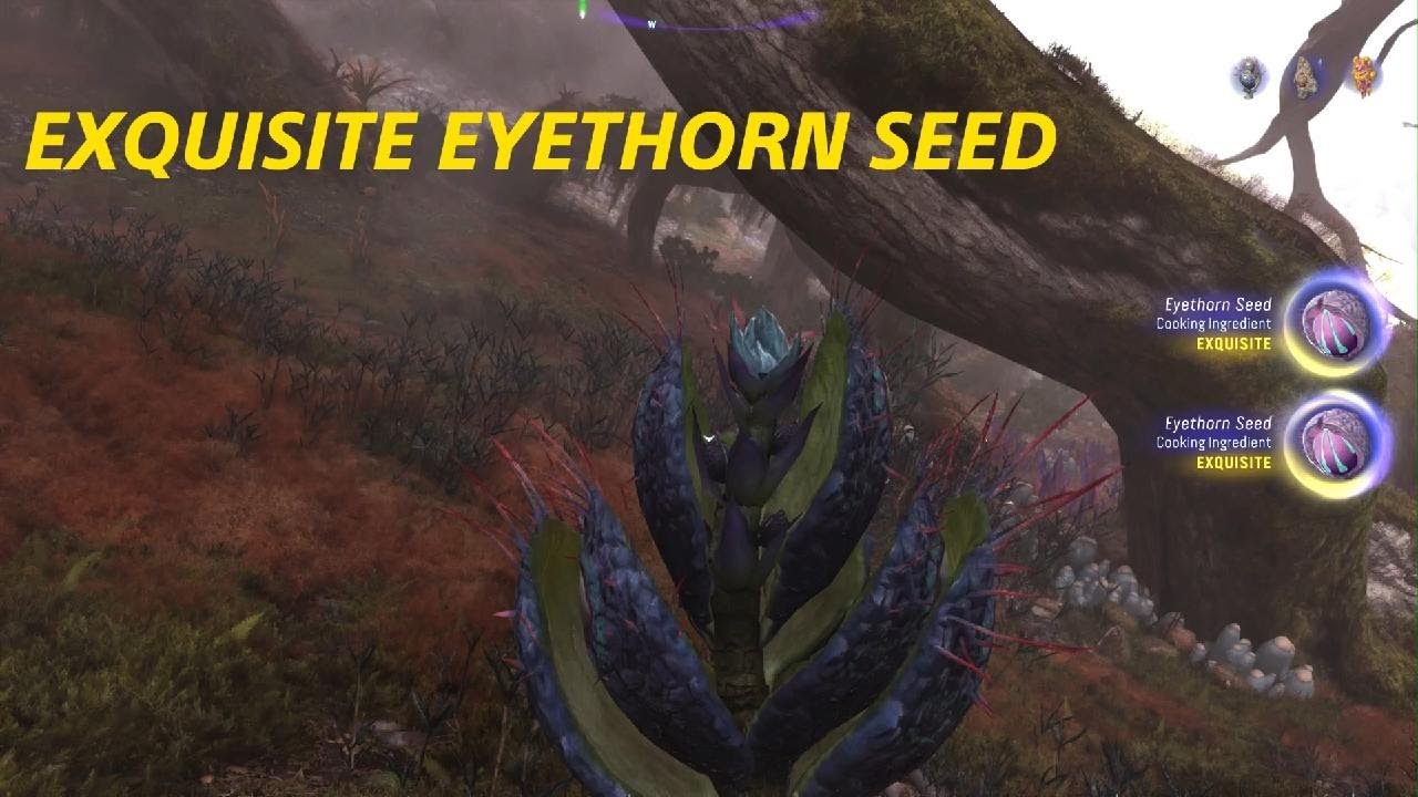 Avatar: Frontiers of Pandora - [EXQUISITE] Eyethorn Seed Location - YouTube