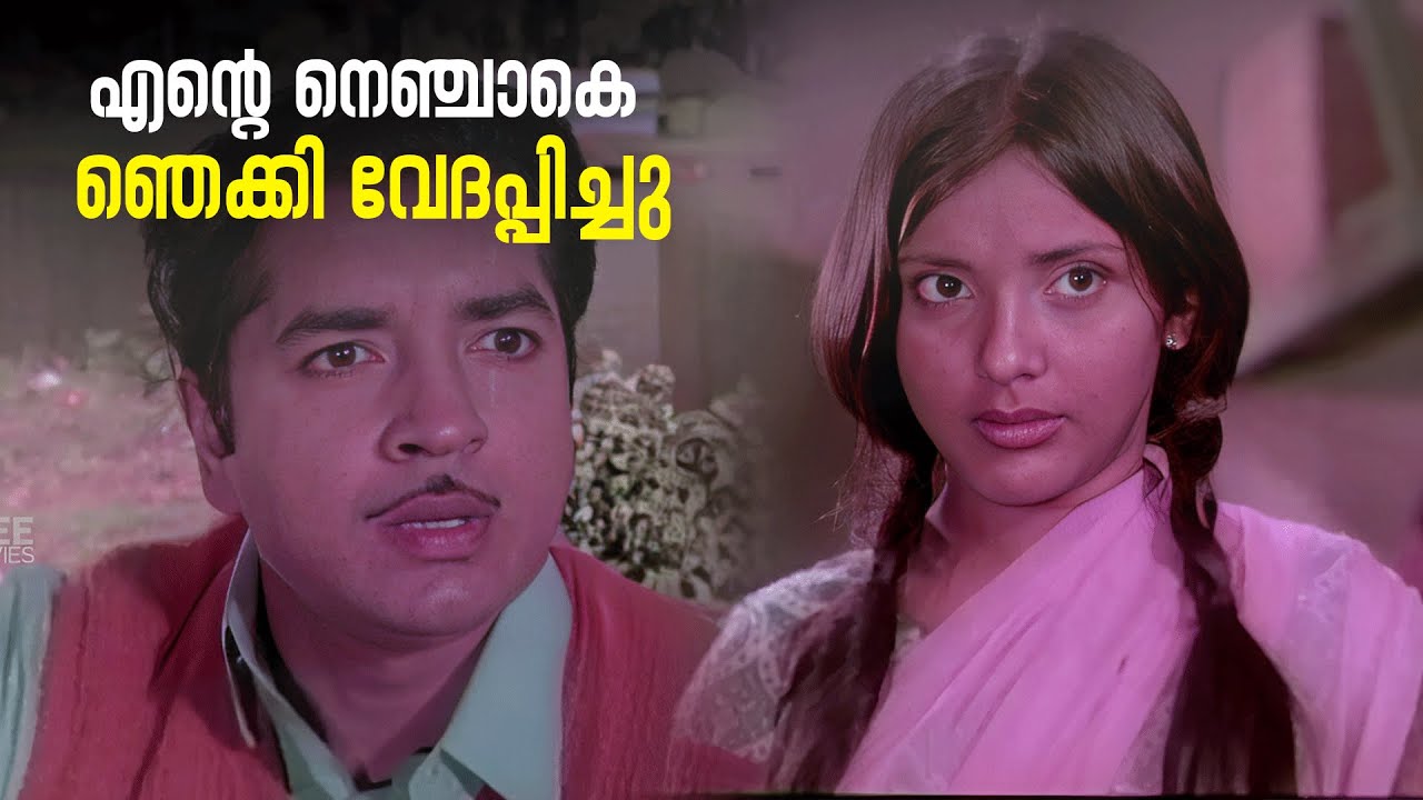 എന്റെ നെഞ്ചാകെ ഞെക്കി വേദപ്പിച്ചു | Panitheeratha Veedu | Prem Nazeer ...