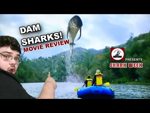 Dam Sharks movie review (Shark Week)
