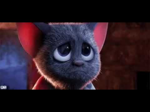 🐈 cat was sad 😢 Whatsapp status new full screen 2020