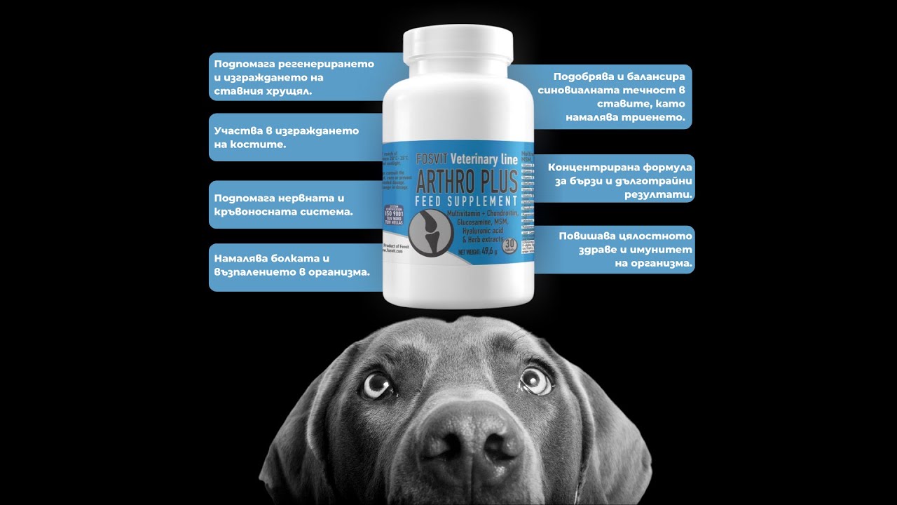 Артро плюс- хранителна добавка за стави- Arthro plus - YouTube