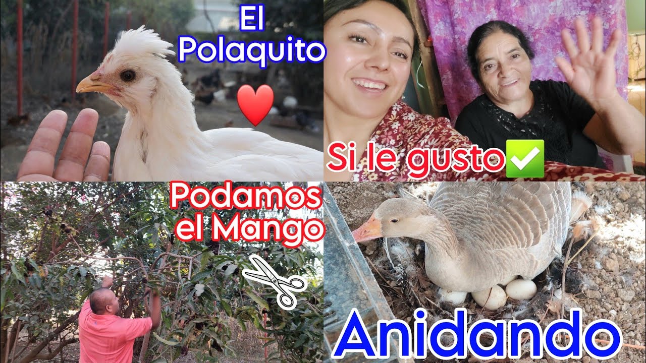 🔺️Pinte la puerta del cuarto de maternidad 👏 // Preparé esto para todos ...