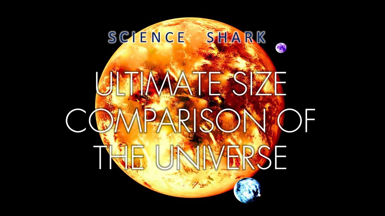 ScienceShark - The Ultimate Size Comparison - YouTube