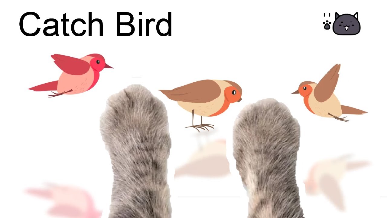 Aesthetic Videos for Cats - Cat Catching Bird , with Relaxed Music ...