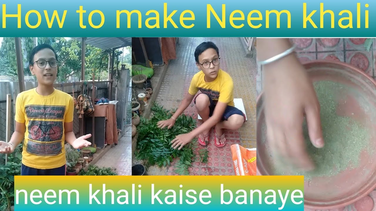How to make neem khali at home | नीम की खली बनाने का तरीका | neem khali ...