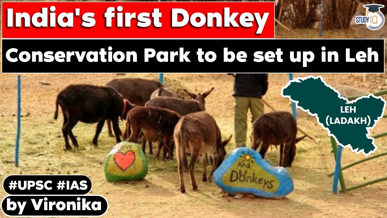 India's first Donkey Conservation Park to be set up in Leh ...