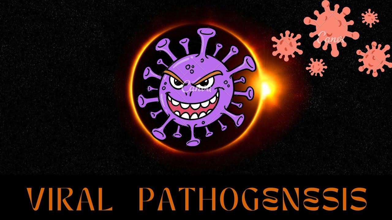 Viral Pathogenesis شرح بالعربي - YouTube