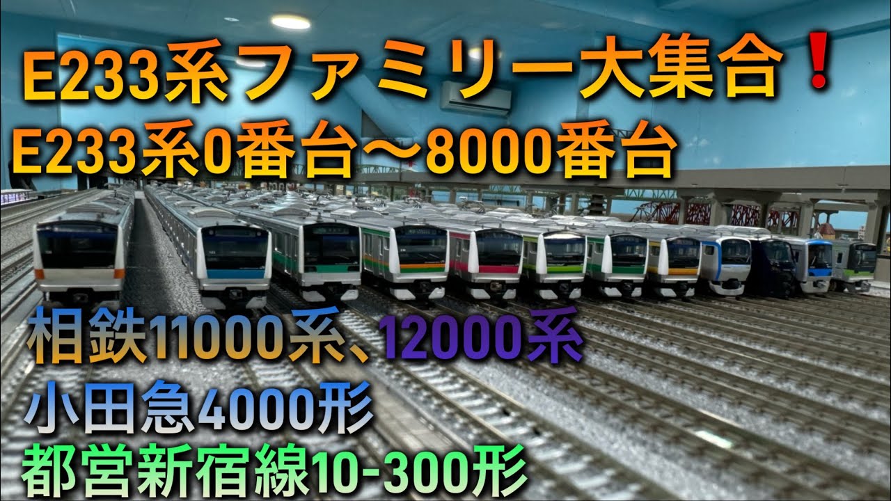 [E233系ファミリー大集合 ️] Nゲージ E233系0番台〜8000番台、相鉄11000系、12000系、小田急4000形、都営新宿線10 ...