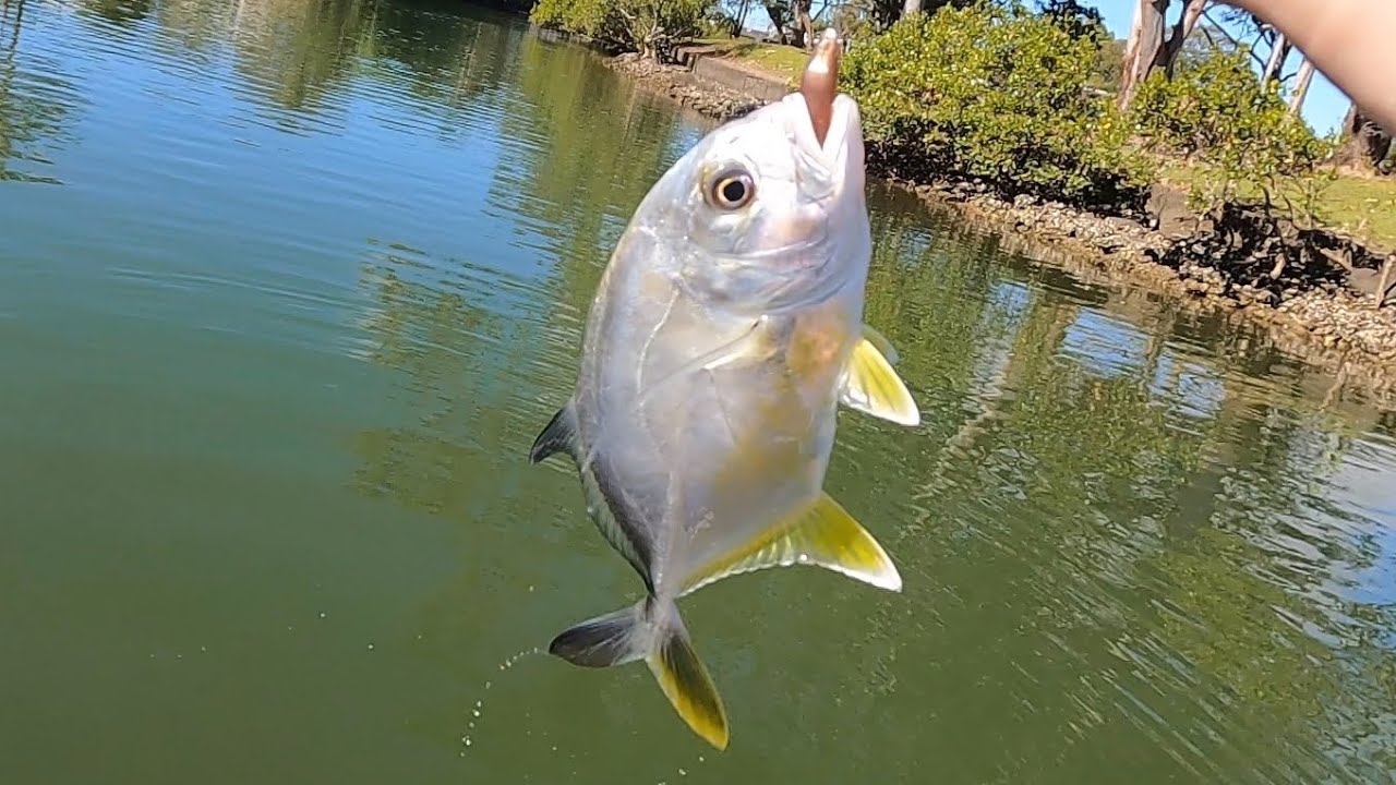 Trev Fishing Crippled Addition - YouTube