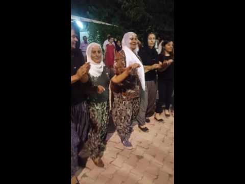 Halaya gel halaya