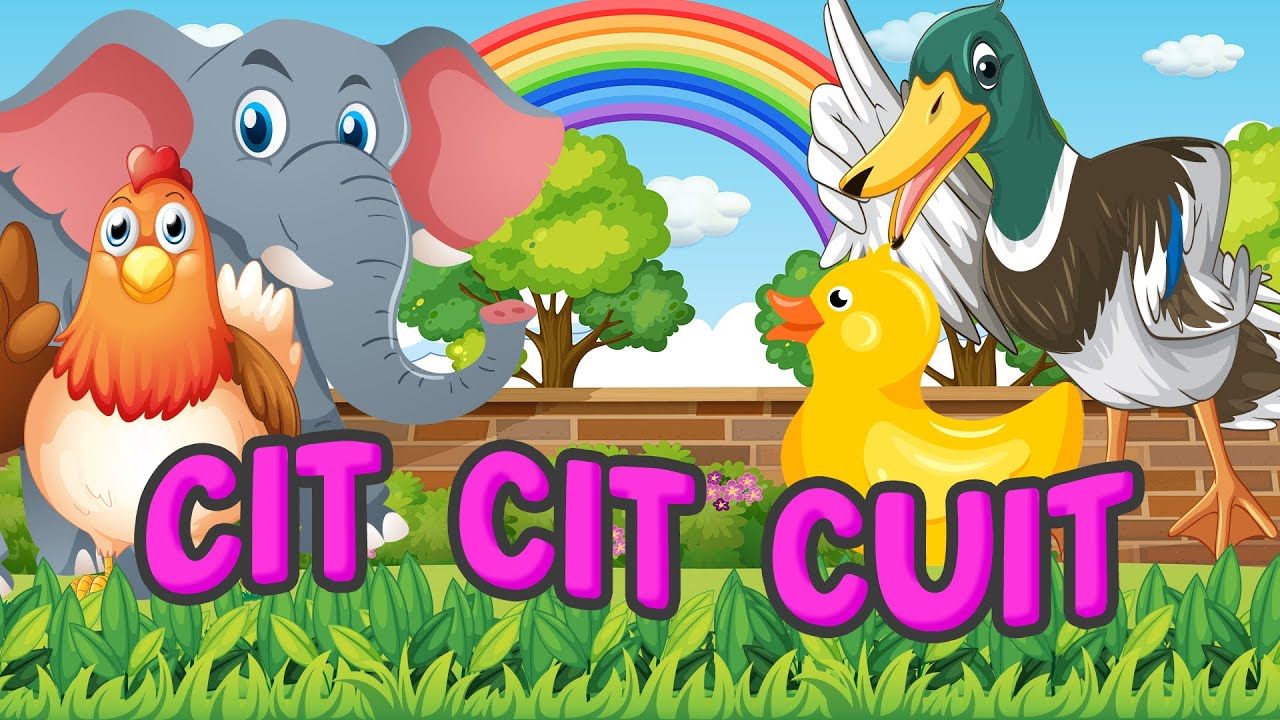 Cit Cit Cuit - Bebek Berenang,Kambing,Sapi dan Ayam Lucu / Lagu Anak Indonesia // NANANA KIDS ...