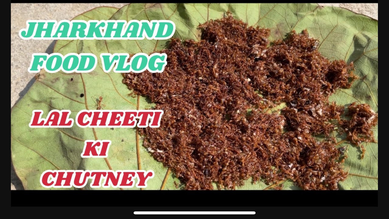 Lal Cheeti Ki chutney // Red ant chutney // Jharkhand food vlog … - YouTube