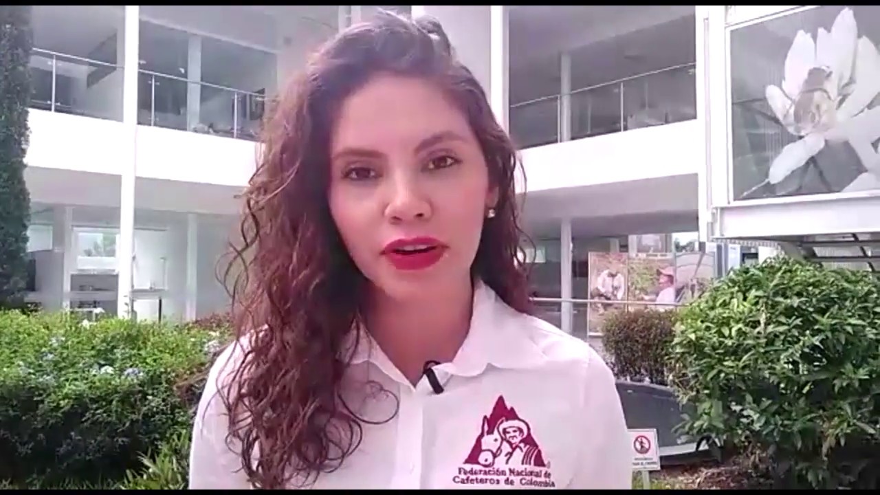 Laura Enciso - YouTube