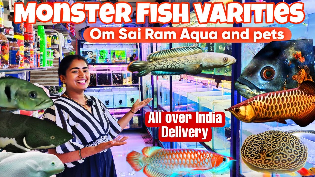 Exotic Monster Fish ,Abababa Fish, Asian Arowanas , Stingrays ,Oscars ...