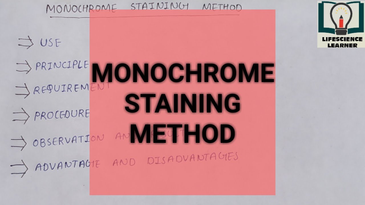Monochrome staining method - YouTube