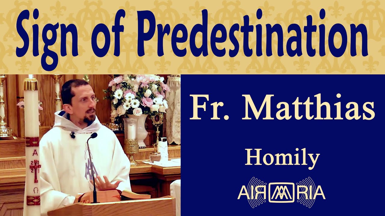 Devotion to Mary is a Good Sign - May 04 - Homily - Fr Matthias - YouTube