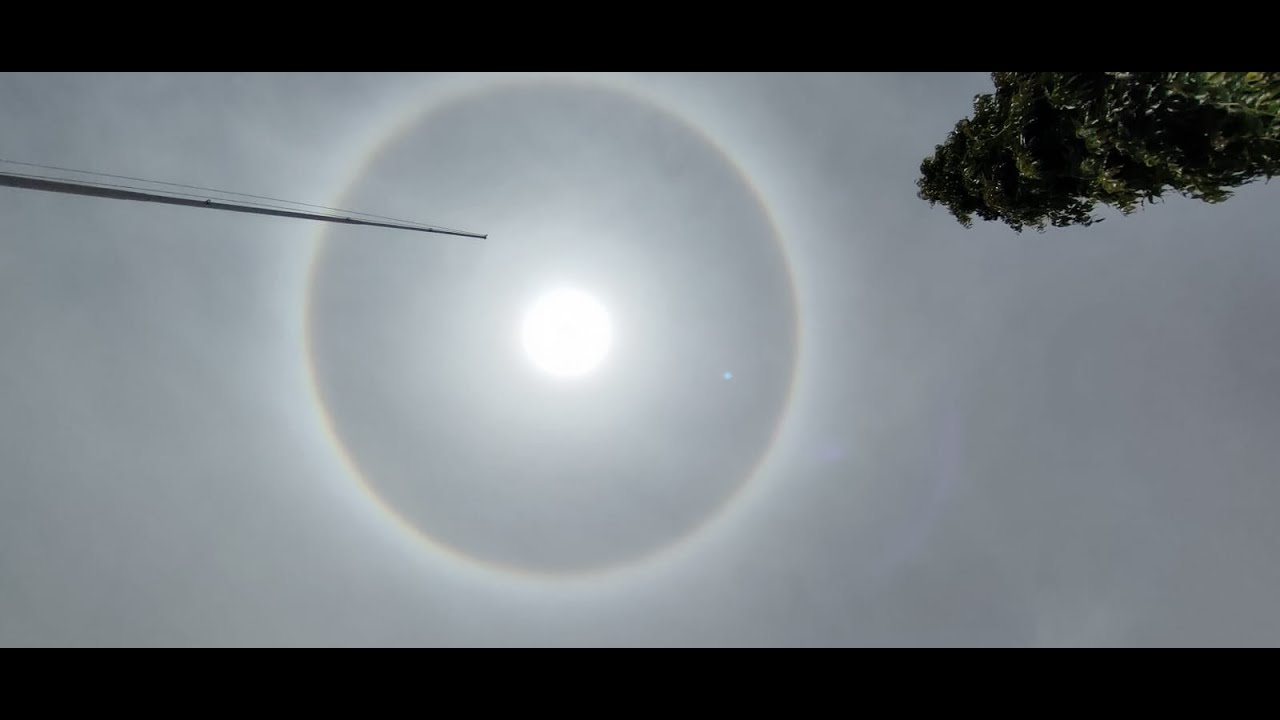 Experiential Learning | About Sun Circle and its formation | | Tulip ...