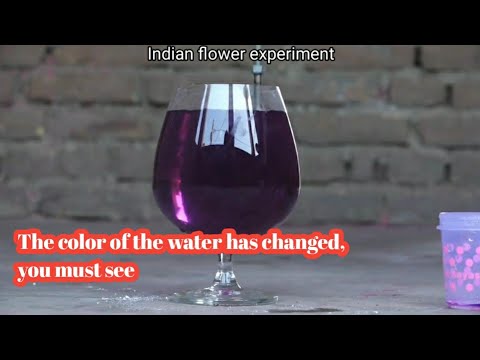 The color of the water has changed, you must see #experiment - YouTube