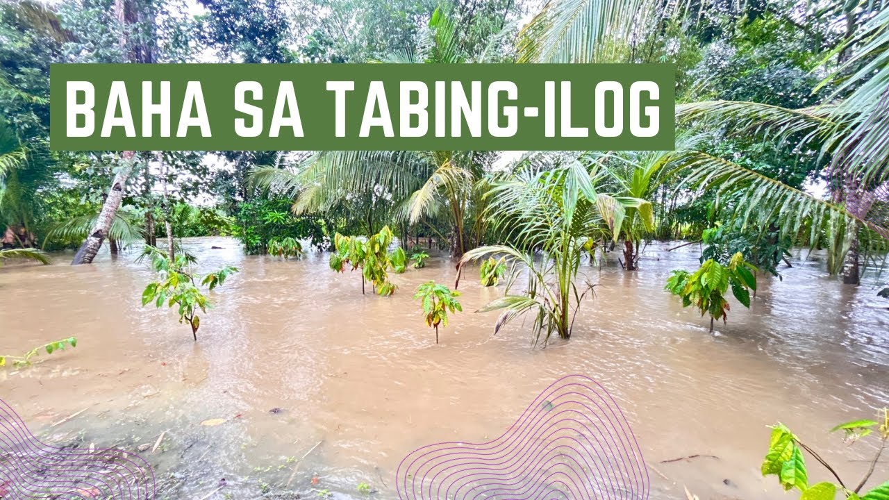 BAHA SA TABING -ILOG - YouTube