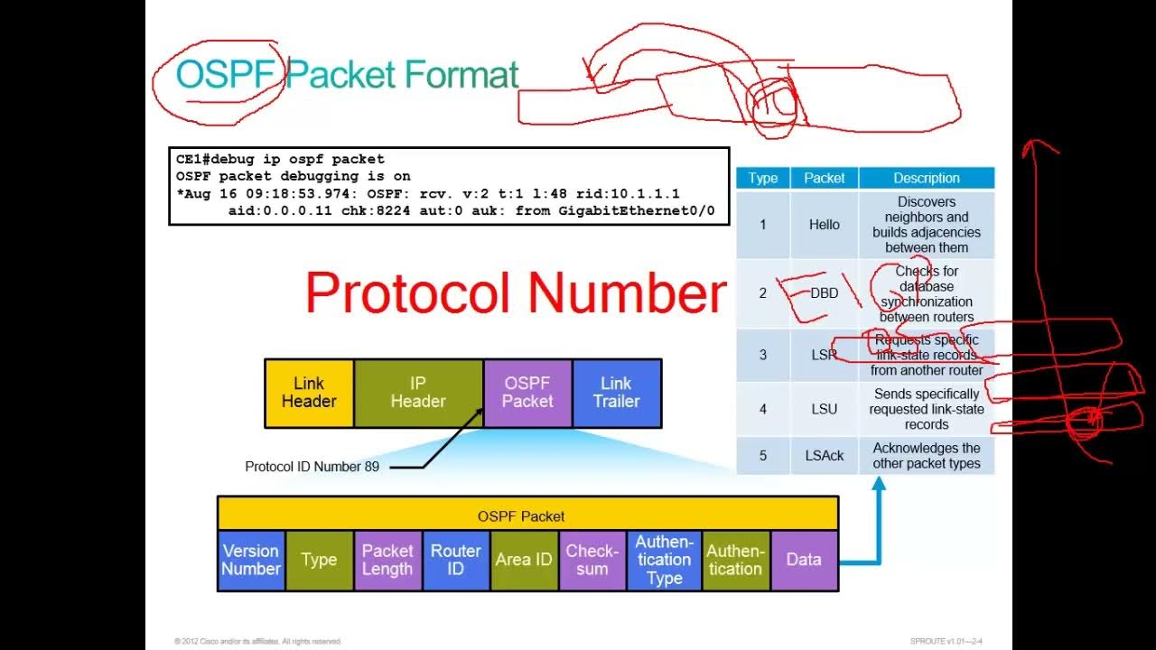 ccnp sp route 06 Understanding OSPF Operation part 01 - YouTube