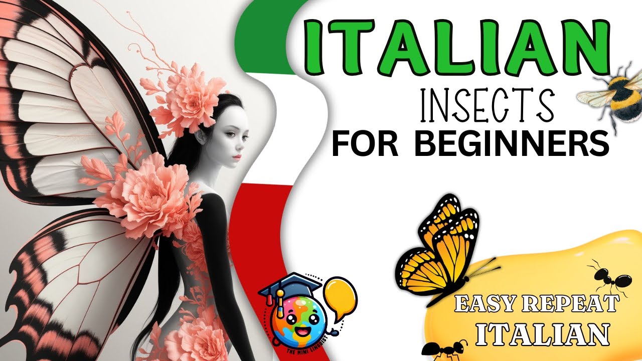 How to name INSECTS in Italian, Italian for beginners- Italian speaking ...