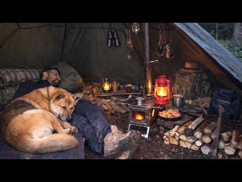 Jackals Came at Night… My Dog Protected the Camp