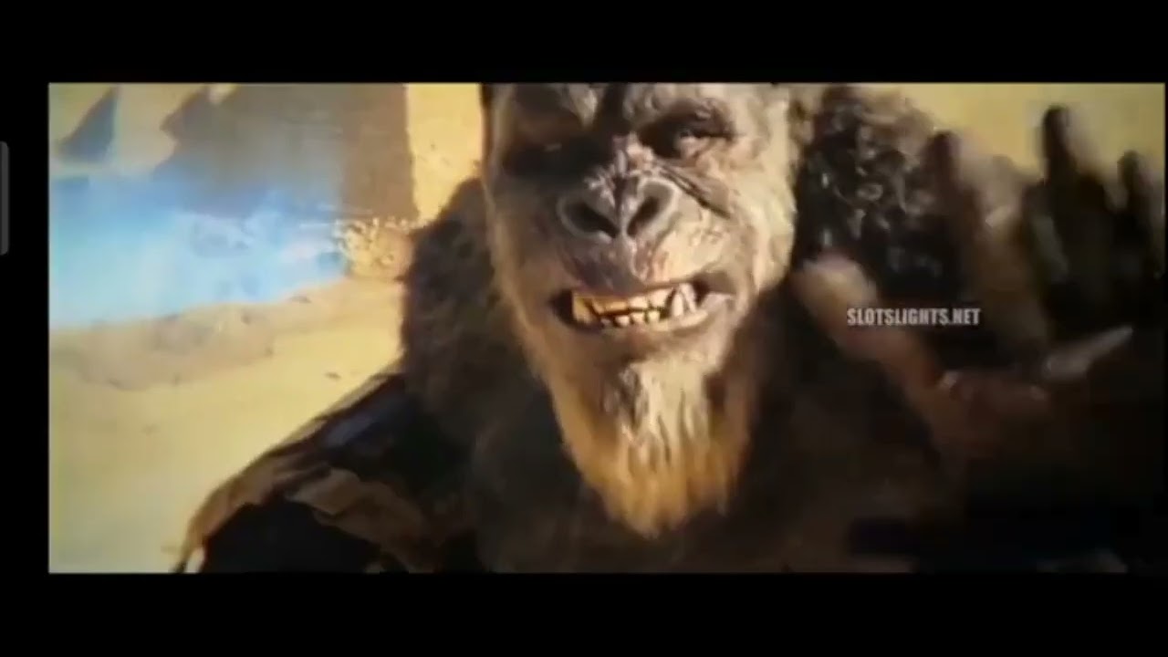 Look at this Monke |GxK meme - YouTube