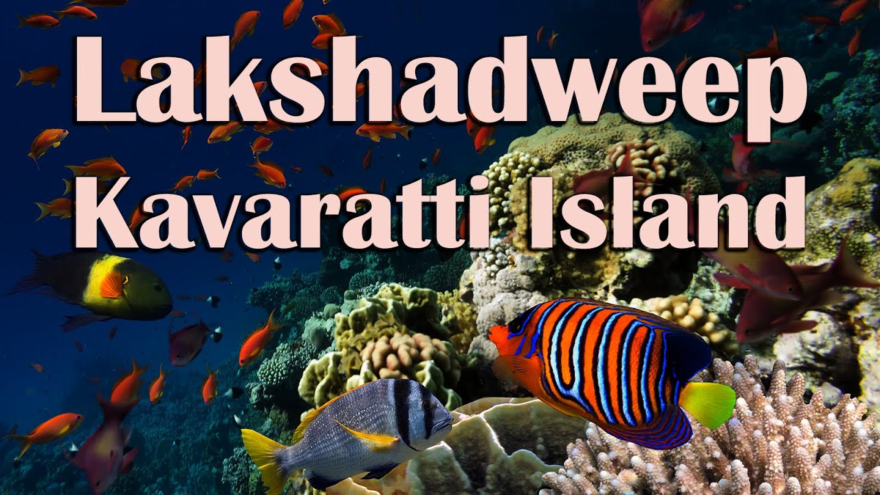 Kavaratti Island - A Natural Wonder in Lakshadweep - YouTube