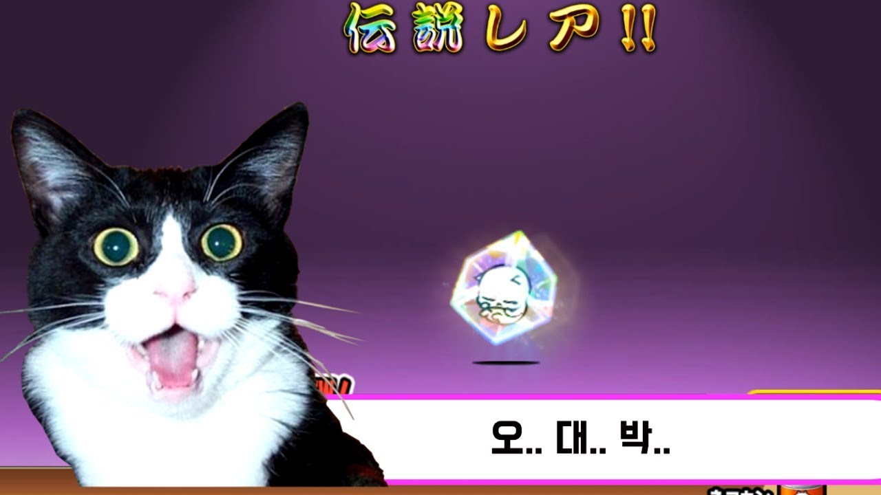 냥코대전쟁 드디어 레제루가 뽑았습니다 ㅠㅠ The Battle Cats Legeluga (Legend Rare Cat ...