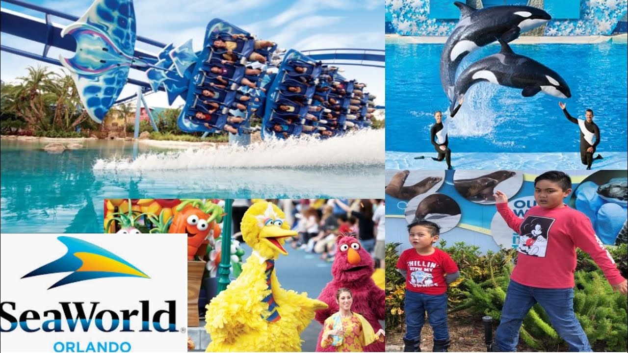 Weekend at Seaworld (a tourist attraction in Florida USA) #SeaWorld ...