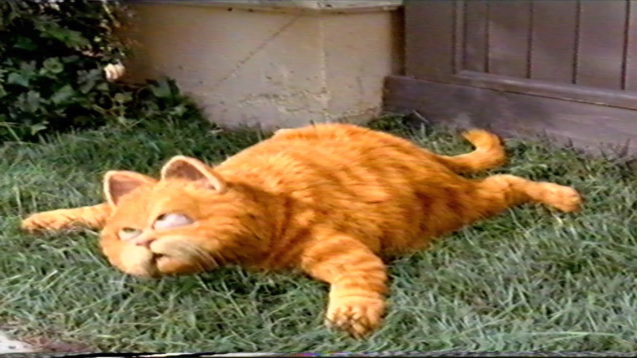 Garfield: Garfield (2004) (VHS Capture) (3) - YouTube