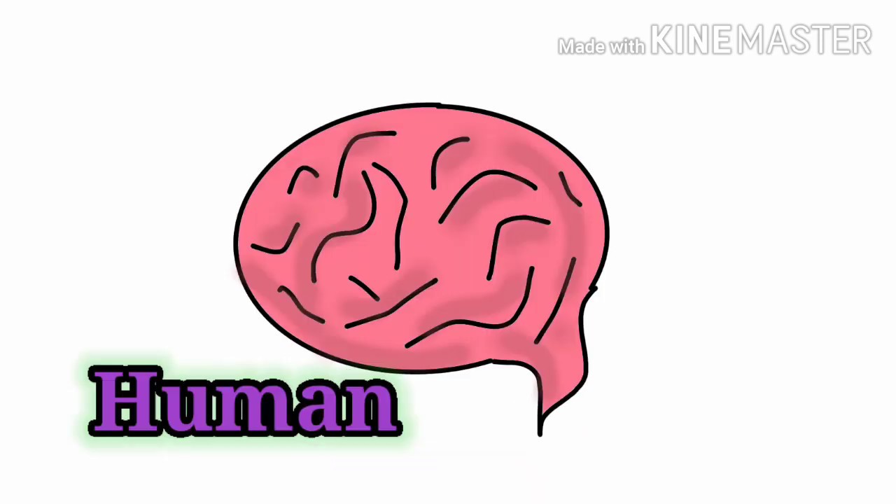Brain! - (Flamingo Animation) - YouTube