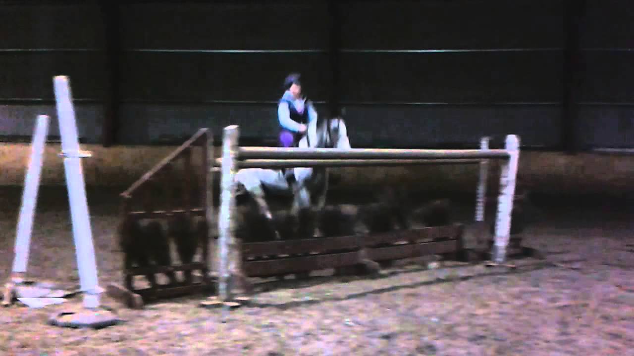 Me and Pepper jumping 1.40m - YouTube