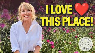 Plant Shopping for Topiary and Terracotta at City Floral Garden Center | Denver Tour