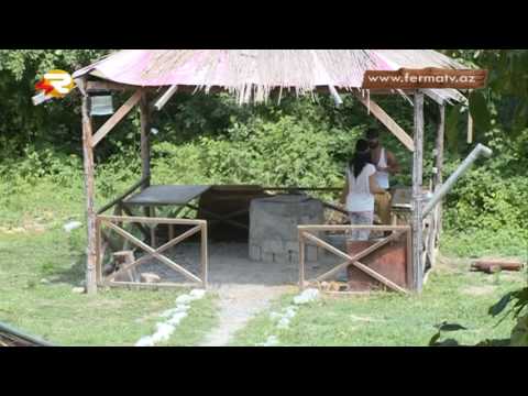 O, həyat yoldaşını qısqandı.