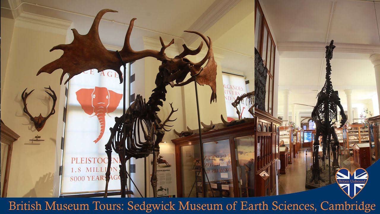 Sedgwick Museum of Earth Sciences in Cambridge - YouTube