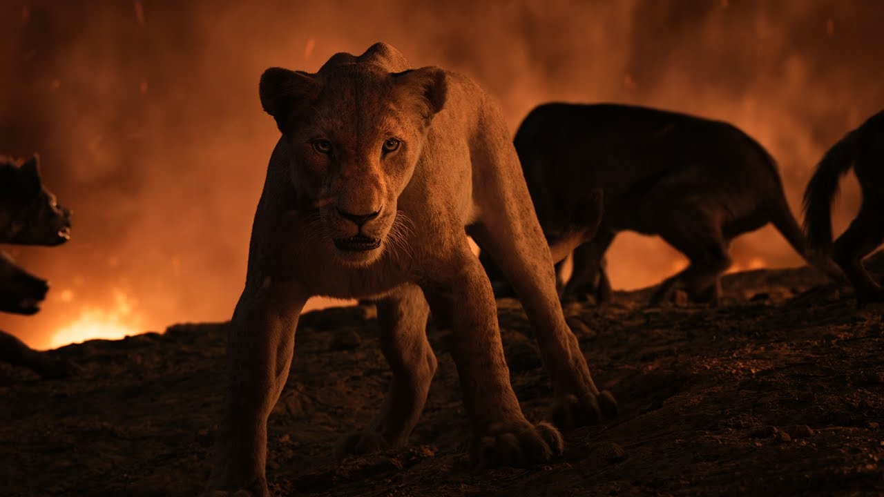 The Lion King 2019 - Fighting The Hyenas Scene I 4K Ultra HD - YouTube