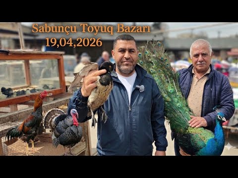 Sabunçu Toyuq Bazarı 19 aprel 2026