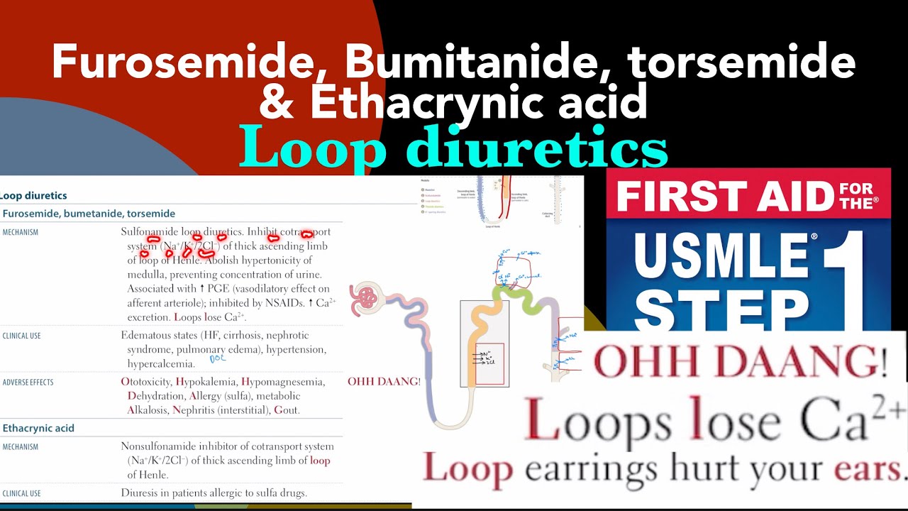 Loop diuretics- Furosemide, Bumitanide, Torsemide & Ethacrynic acid in ...