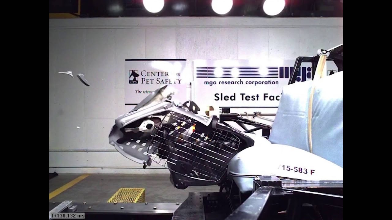 Watch pet harnesses and restraints go through crash tests - YouTube